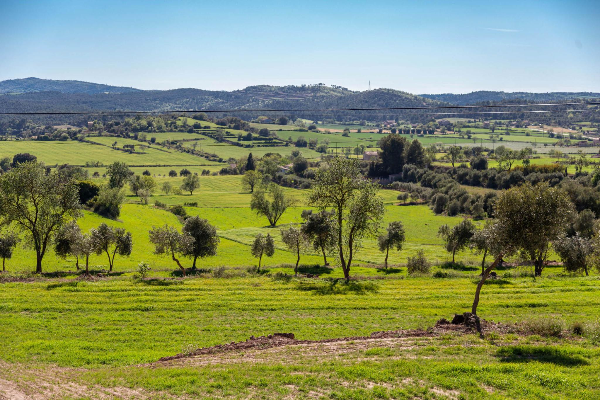 El Vilar de la Duquessa | Avís Legal